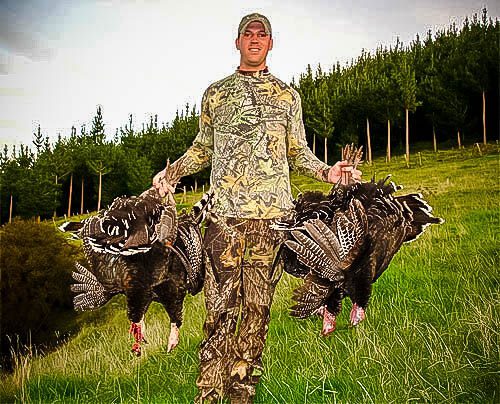 Turkey Hunting | New Zealand Hunts | Kaweka Hunting