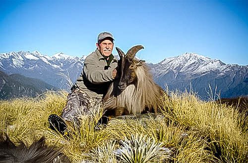 New Zealand Tahr Hunts | Free Range | Kaweka Hunts